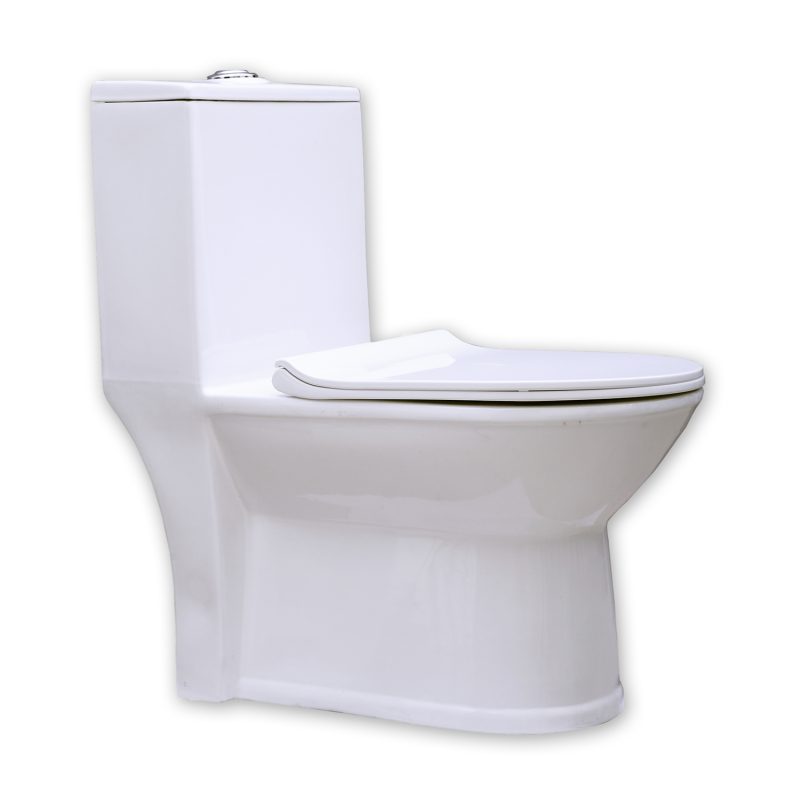 Single Piece Closet Price, Size & Colour - Buy Online | Neycer